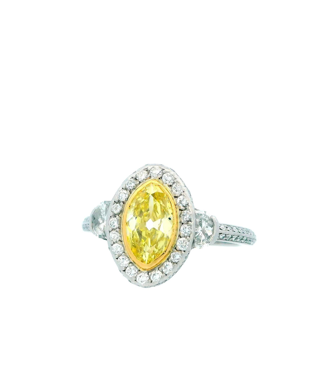 Steve Fishman Gallery